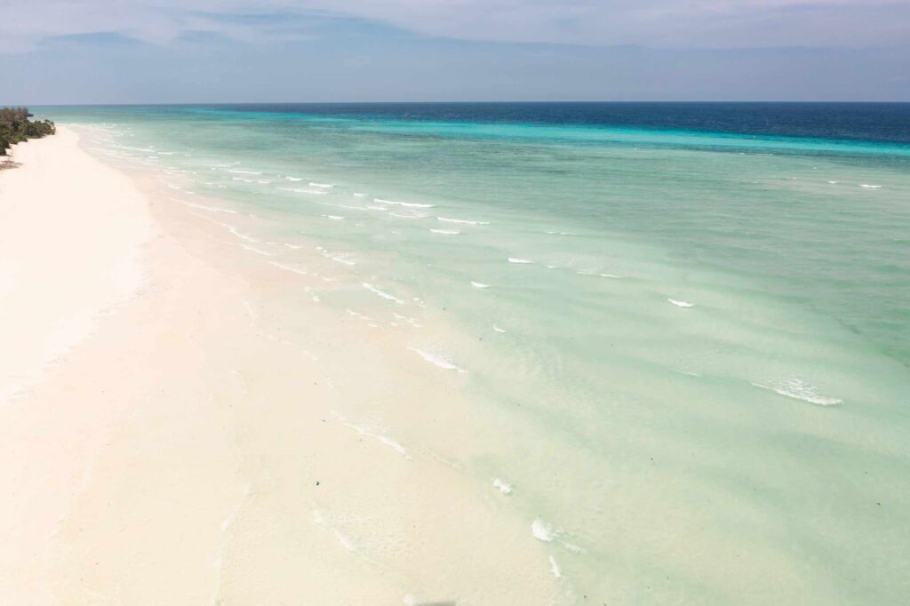 Best Spot in Zanzibar for Wave Surfing | DPC Zanzibar at Mvuvi